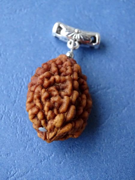 Rudrakša sa 2 lica, privezak - Privesci